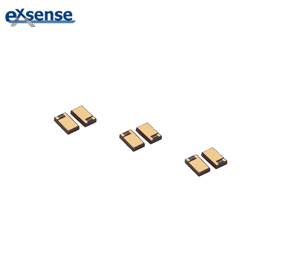 Resistance-capacitance integrated chip capacitor - Exsense